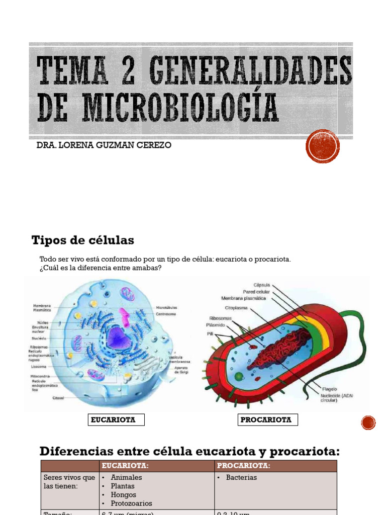 Tema 2 Generalidades de Microbiología | PDF