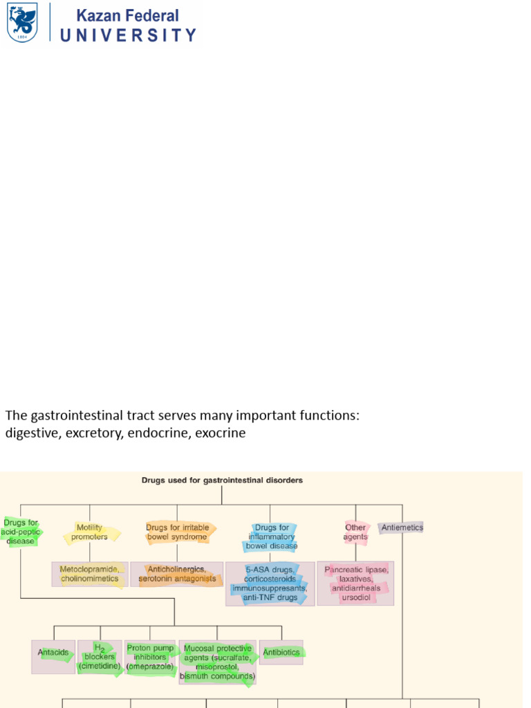 Lecture 14_GIT and Uterus | PDF