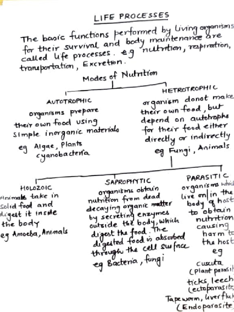 Nutrition Extra Notes | PDF