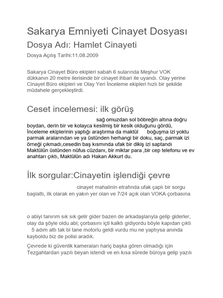 Sakarya Emniyeti Cinayet Dosyası Yatay Dosya 3 | PDF