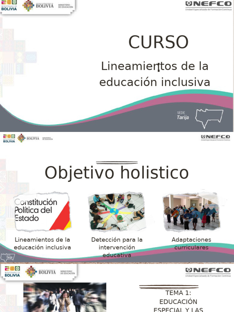 Curso 1 Lineamientos de La Educación Inclusiva | PDF
