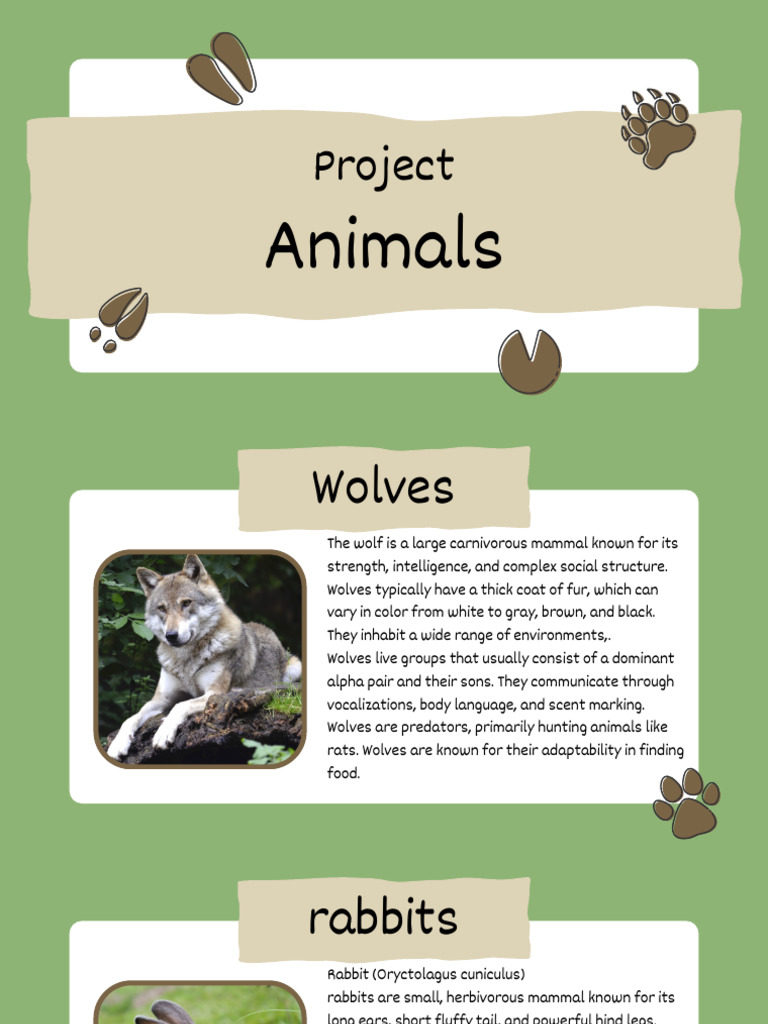 Colourful Observe and Compare Traits in Animals Science Activity PDF | PDF