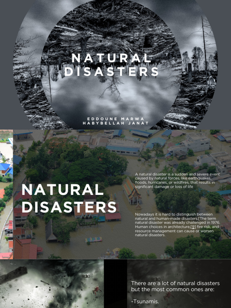 Natural Disaster Presentation High School | PDF