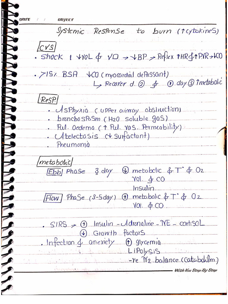 Burn Shaaban Icu Book Pdf