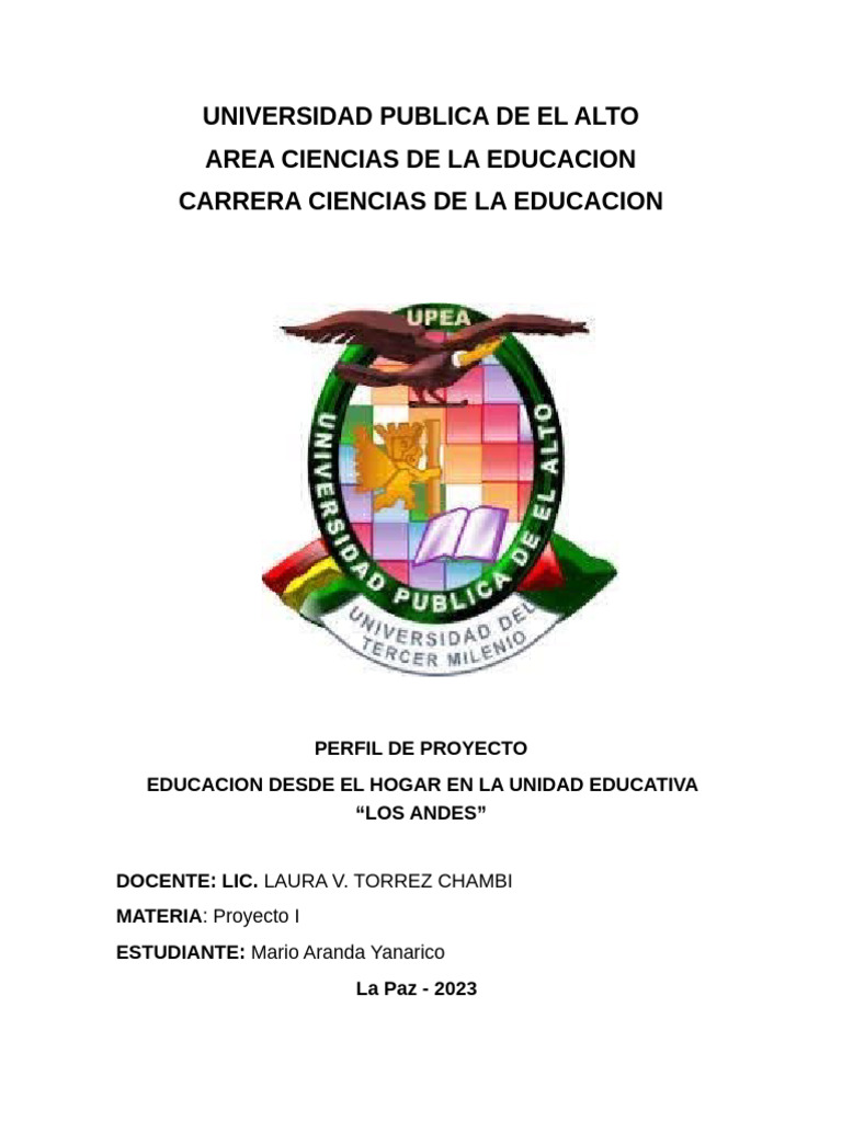 Perfil de Proyecto Mario | PDF