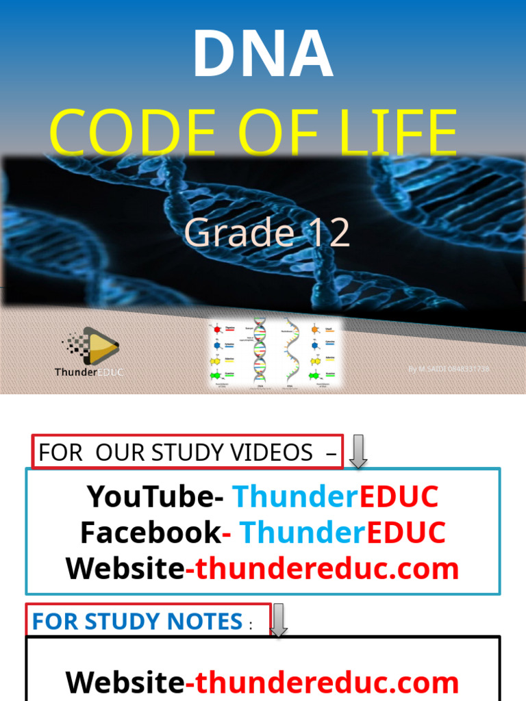 Dna Code of Life-1 | PDF | Translation (Biology) | Rna