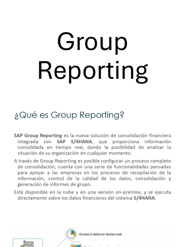 Group Reporting | PDF
