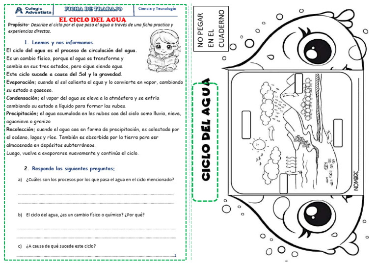 Hoja De Trabajo Con Cuestionario Sobre El Ciclo Del Agua