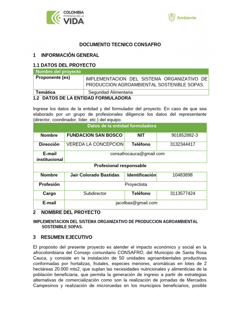 Anexo 3. Documento Tecnico Consafro | PDF