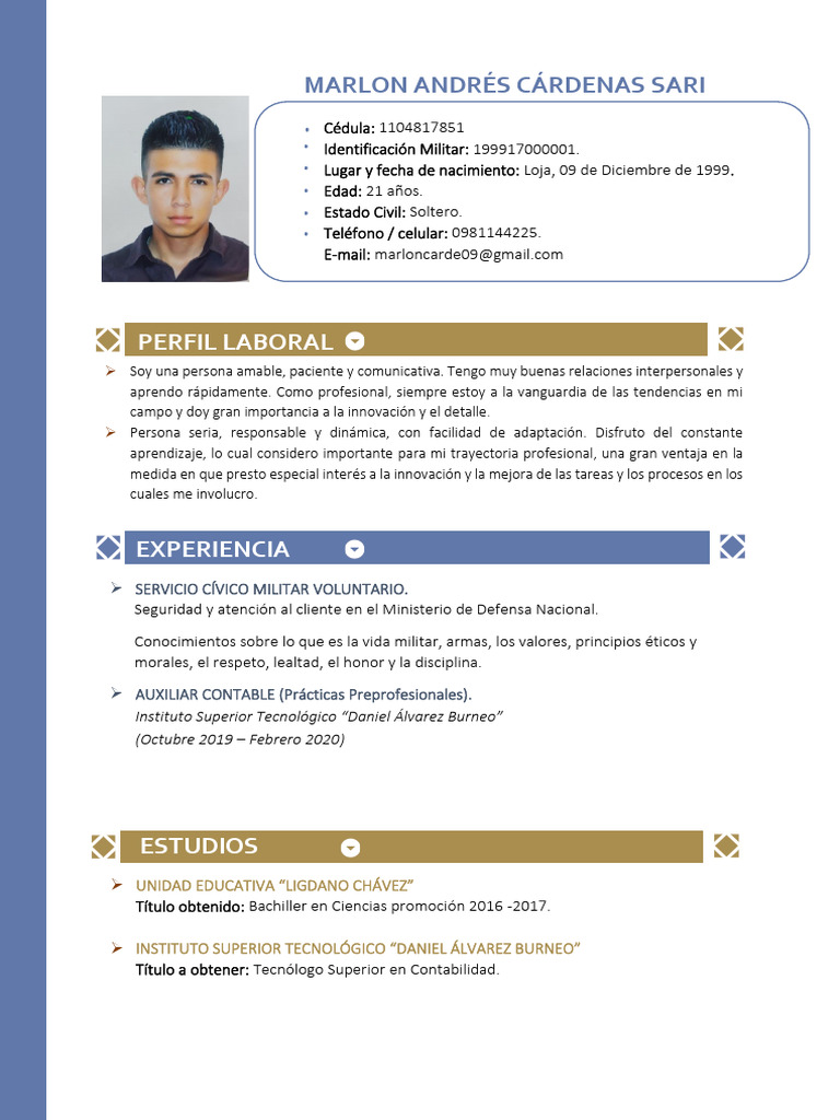Curriculum Vitae Marlon Cárdenas | PDF