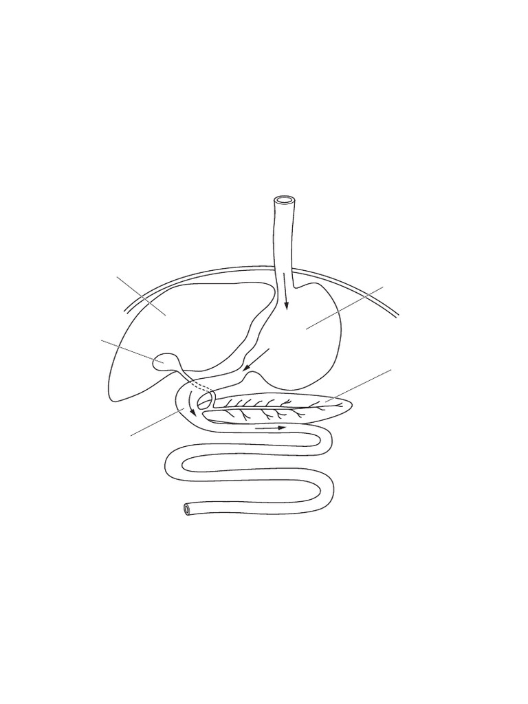 Igcse Bio Paper 4 Mock | PDF