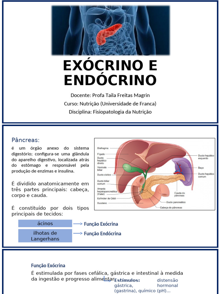 Aula 6 - Fisiopatologia Pâncreas | PDF