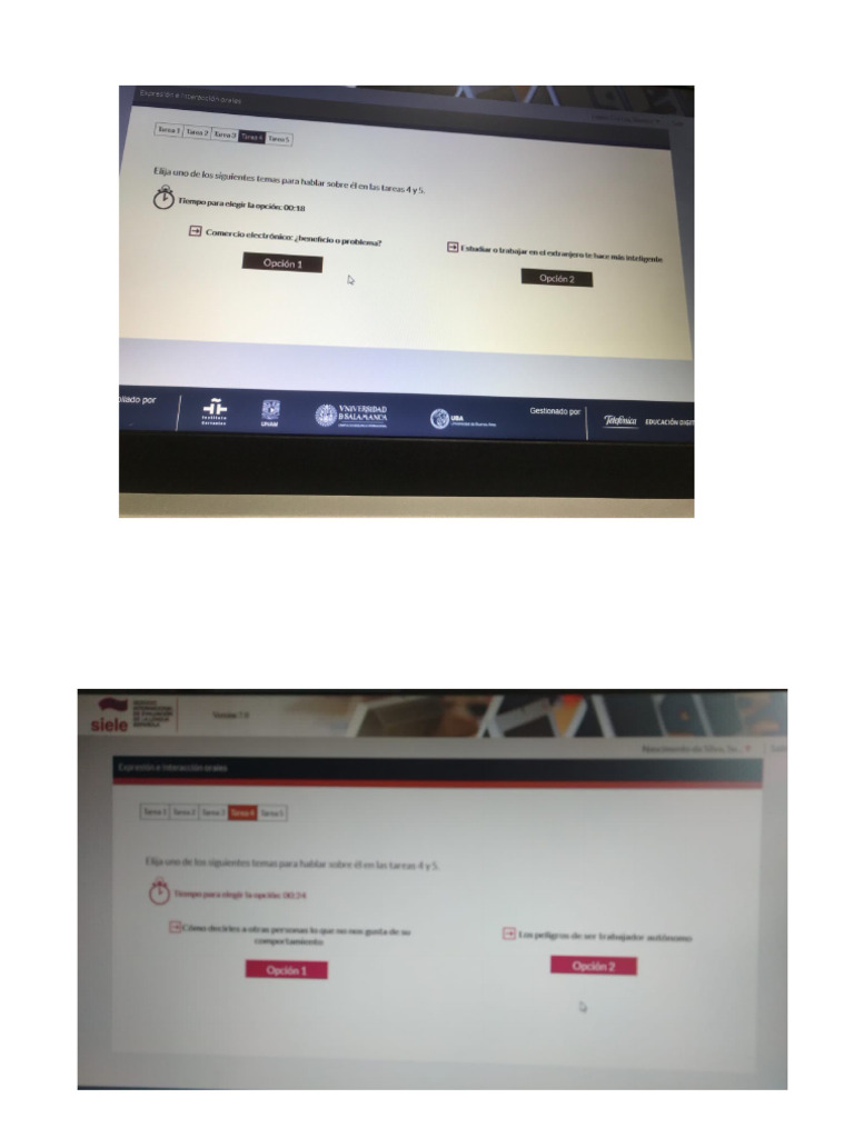 Tarea 4 y 5 Siele | PDF