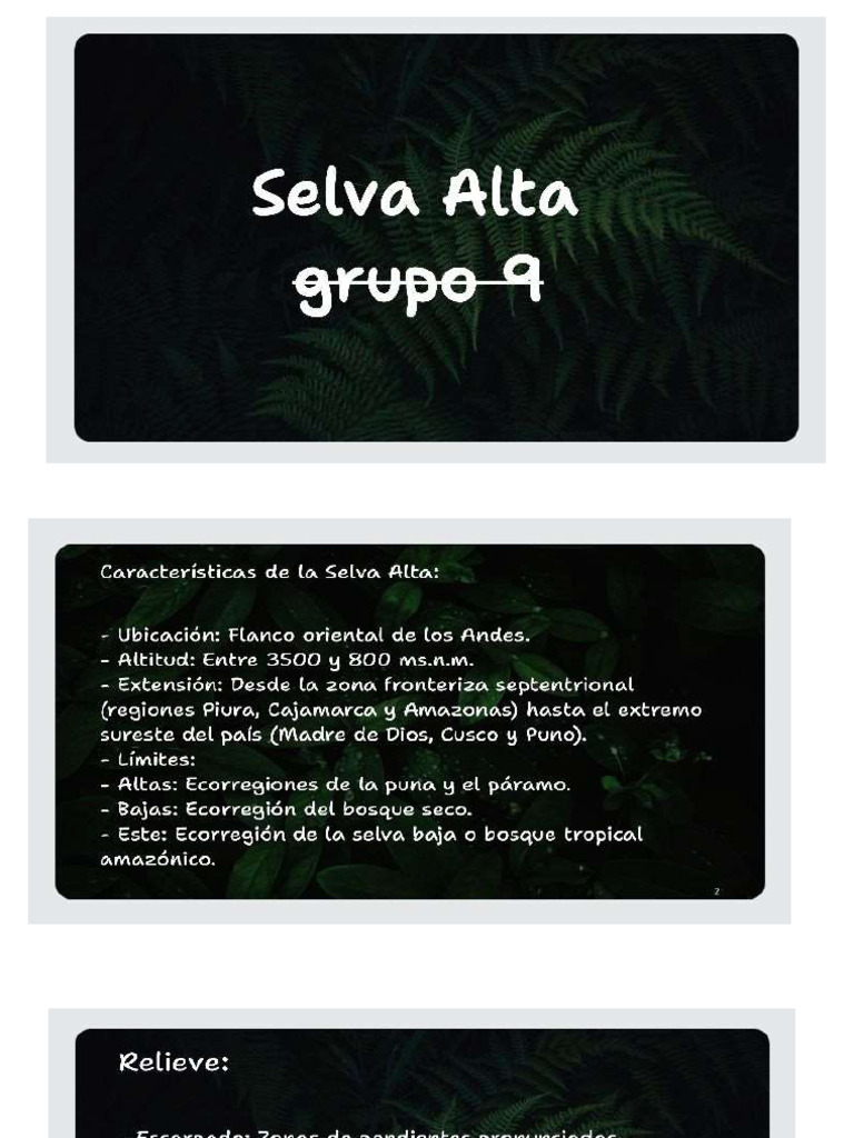 selva alta | PDF