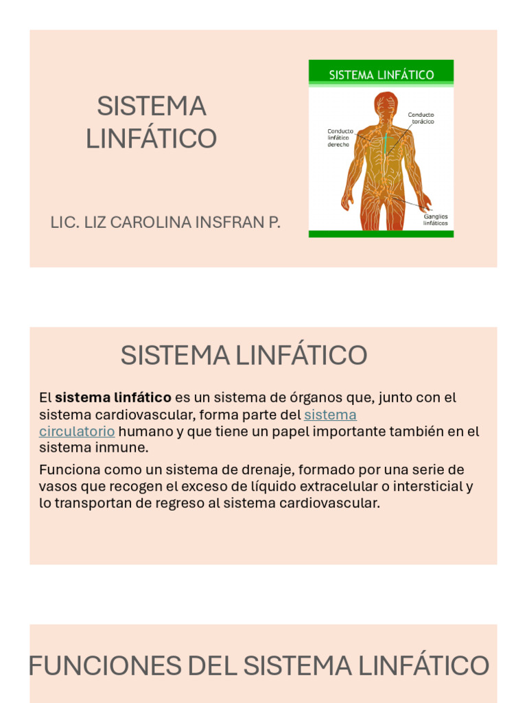 Sistema Linfatico | PDF