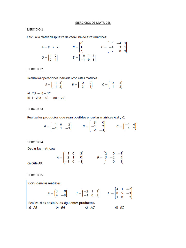 EJERCICIOS DE MATRICES (2) | PDF