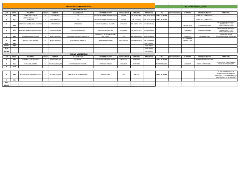 Programacion Quirurgica 23-08-2024 - Hojas de Cálculo de Google | PDF