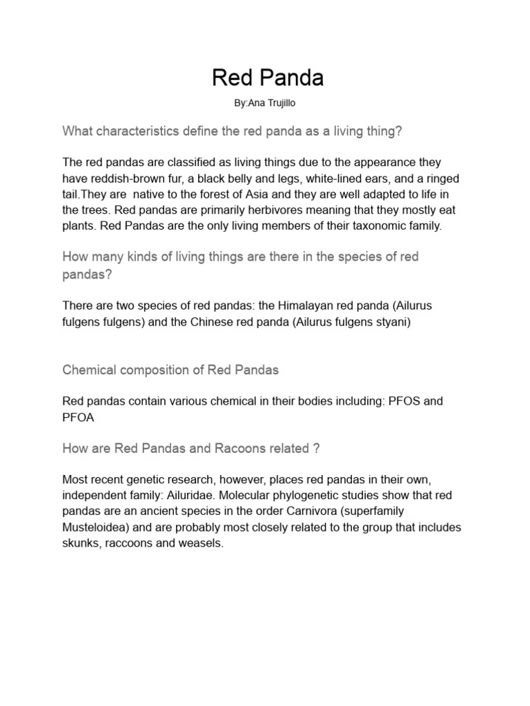 Red Panda | PDF
