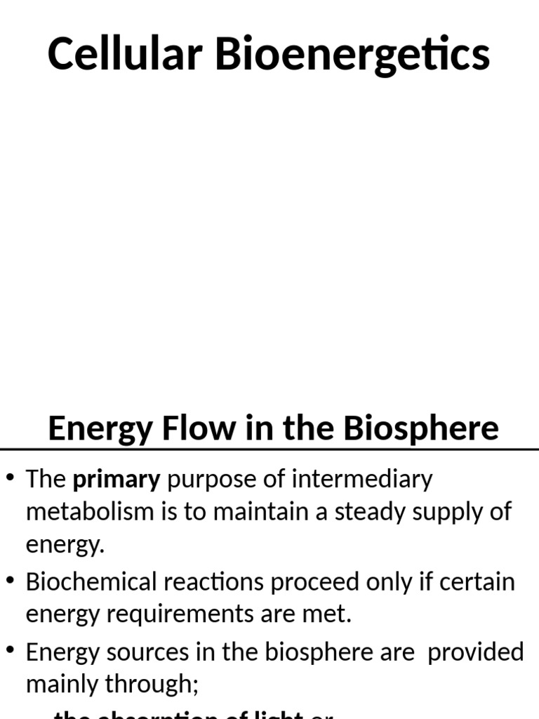 DR Asem Phas 202 | PDF