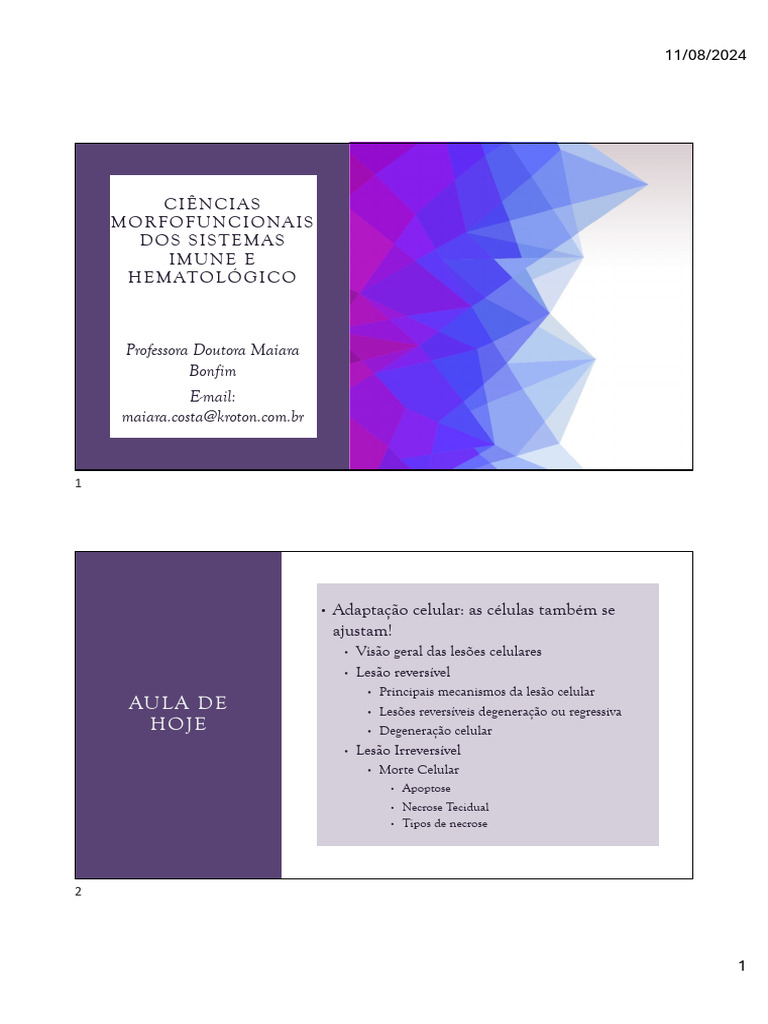 Alunos 24.2 Morfo Aula 2 | PDF