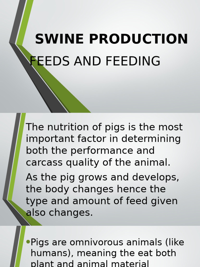 SWINE PRODUCTION Feeds and Feeding | PDF