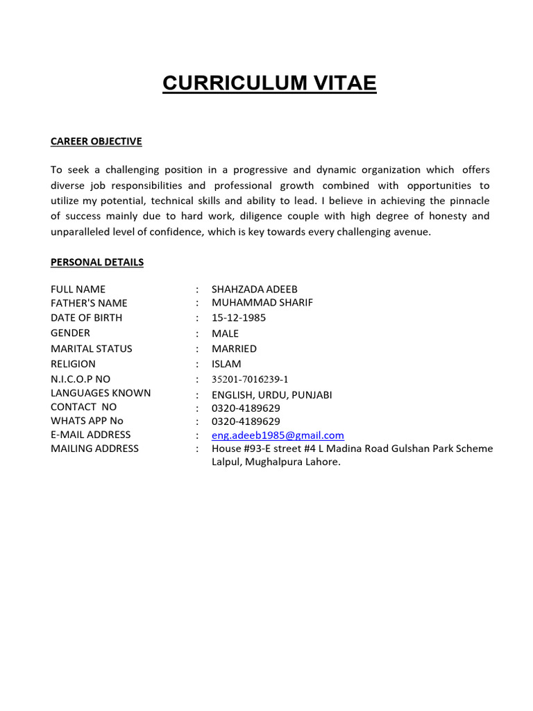 Shahzada Adeeb C.V - Compressed | PDF | Crane (Machine)