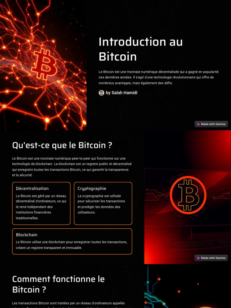 Introduction Au Bitcoin | PDF