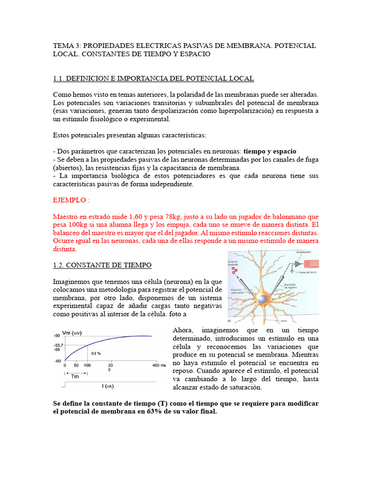 Tema 3 Fisiologia Animal Pdf