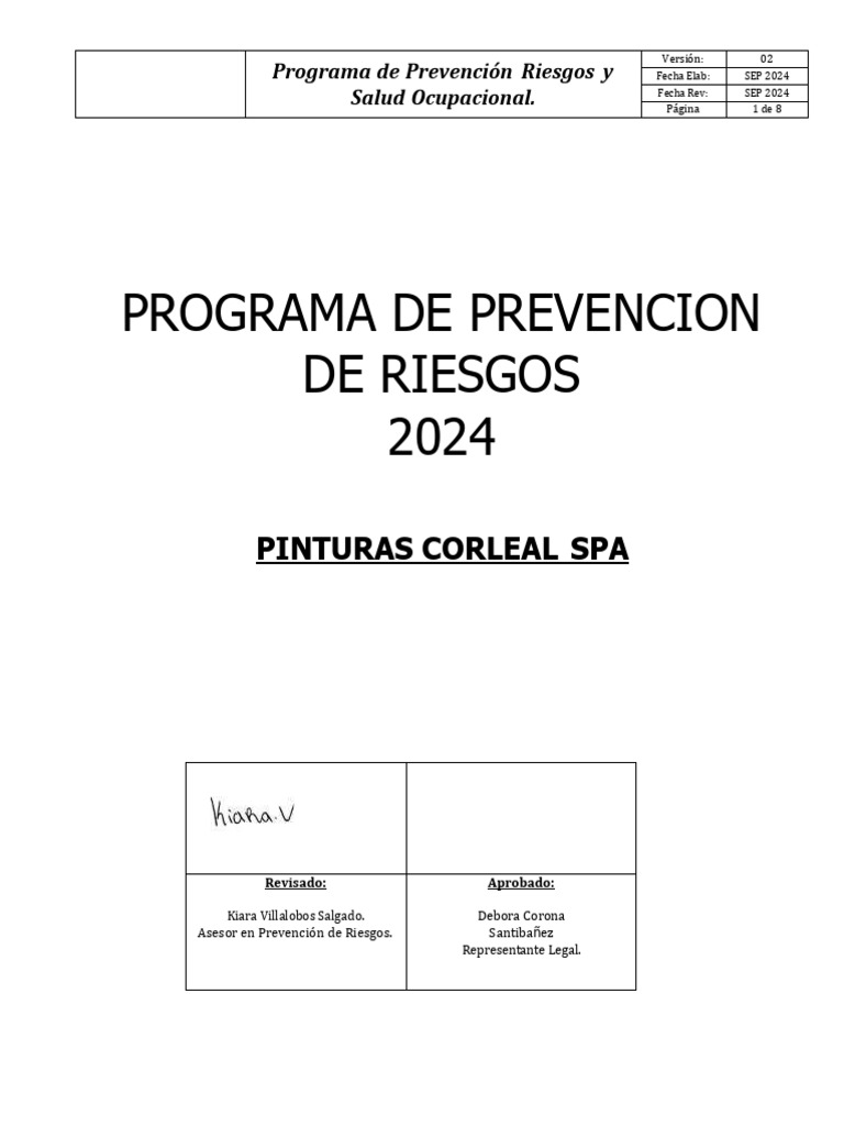 Programa Prevencion | PDF