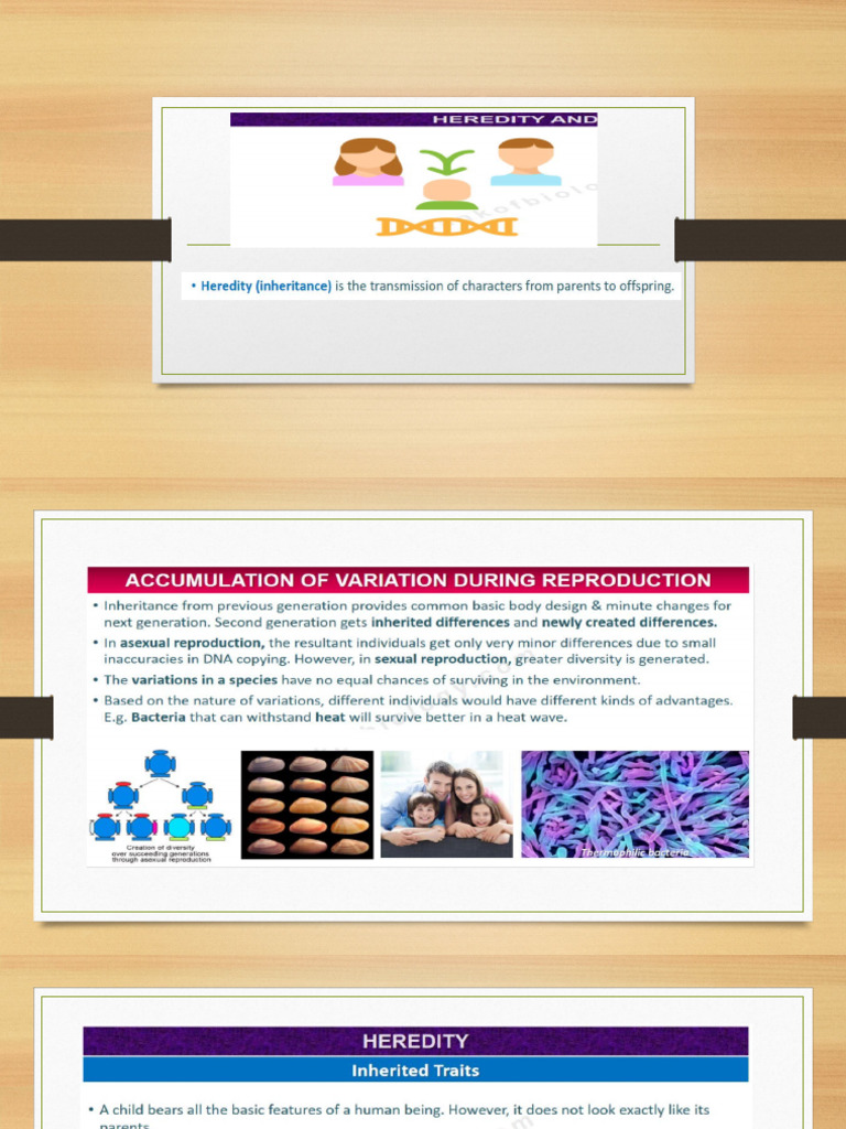 Heredity - Class 10 | PDF