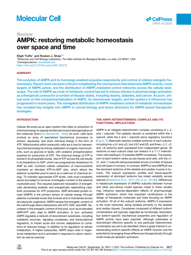 AMPK Restoring Metabolic Homeostasis | PDF