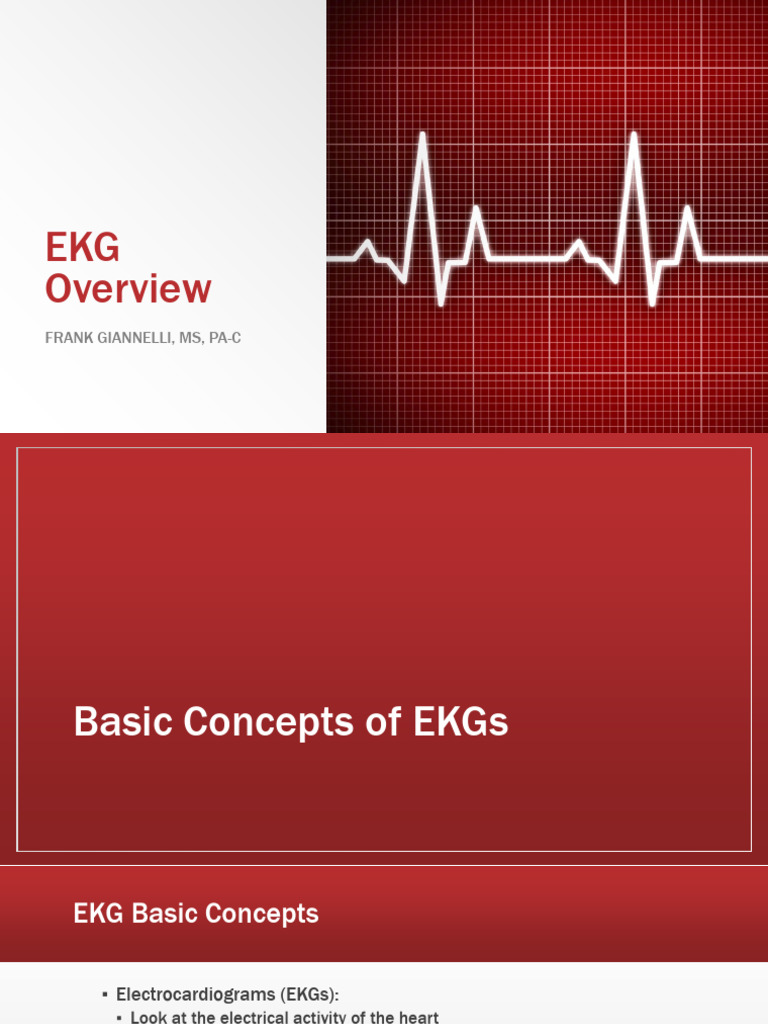Pa Ekg 1 | PDF