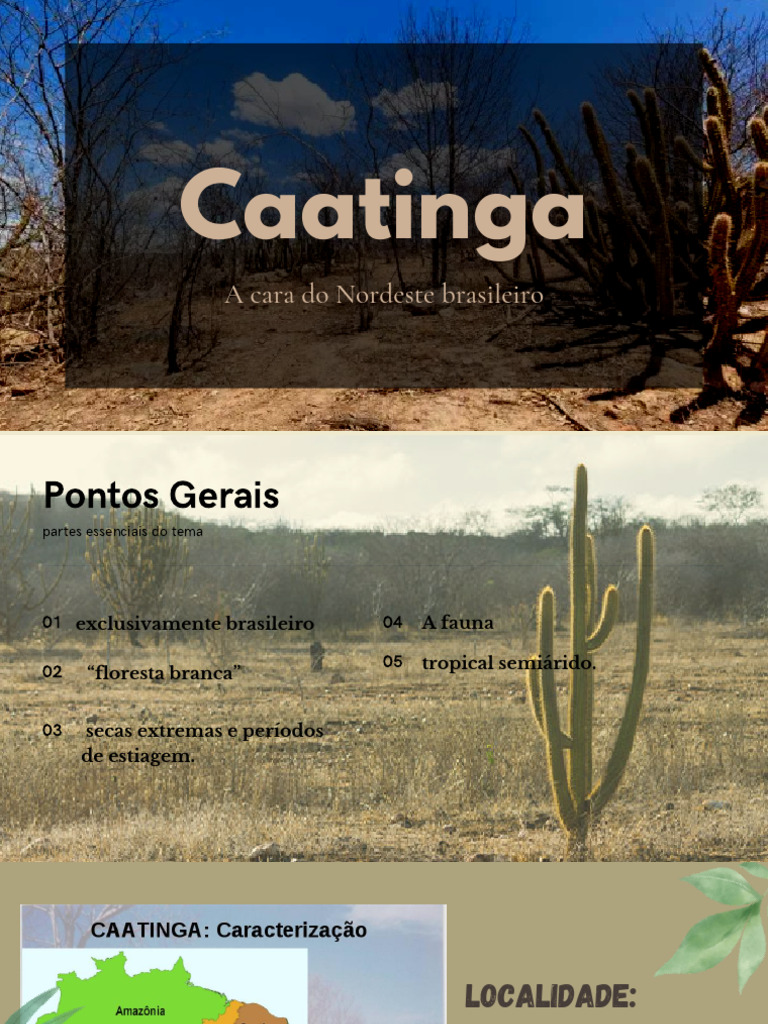 Caatinga | PDF