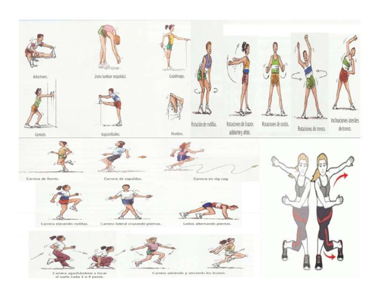 MOVIMIENTOS RITMICOS | PDF