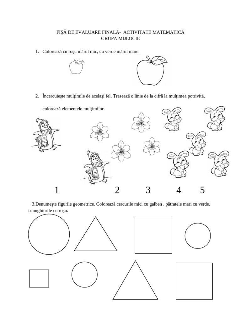 Fisa de Evaluare Finala Mate GR Mijlocie | PDF