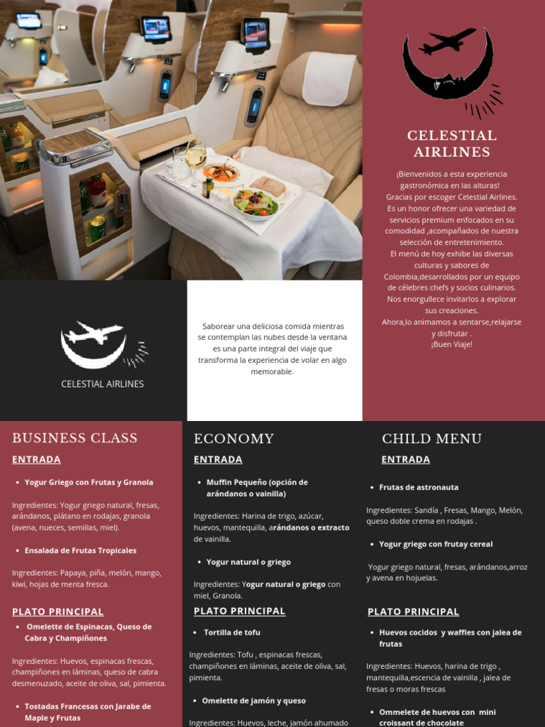 Celestial Airlines Menu | PDF