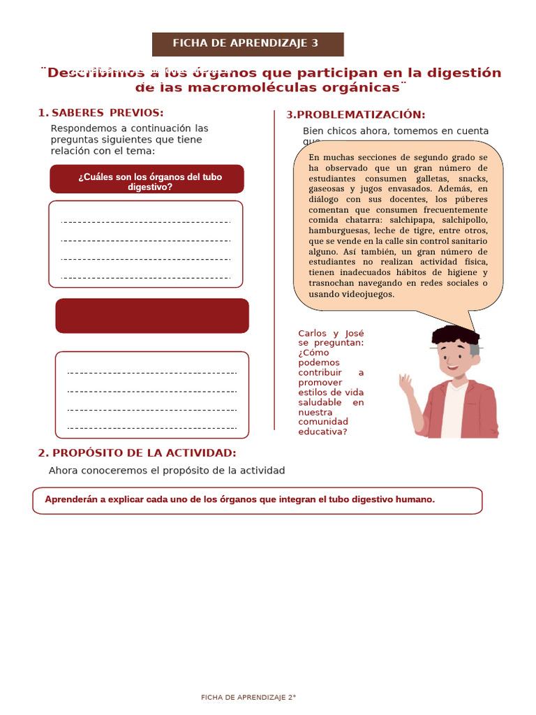 Ficha de Aprendizaje 3 - Cyt - 2° | PDF