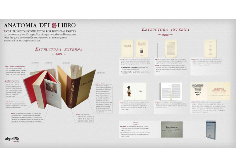 Infografía Anatomía Del Libro | PDF