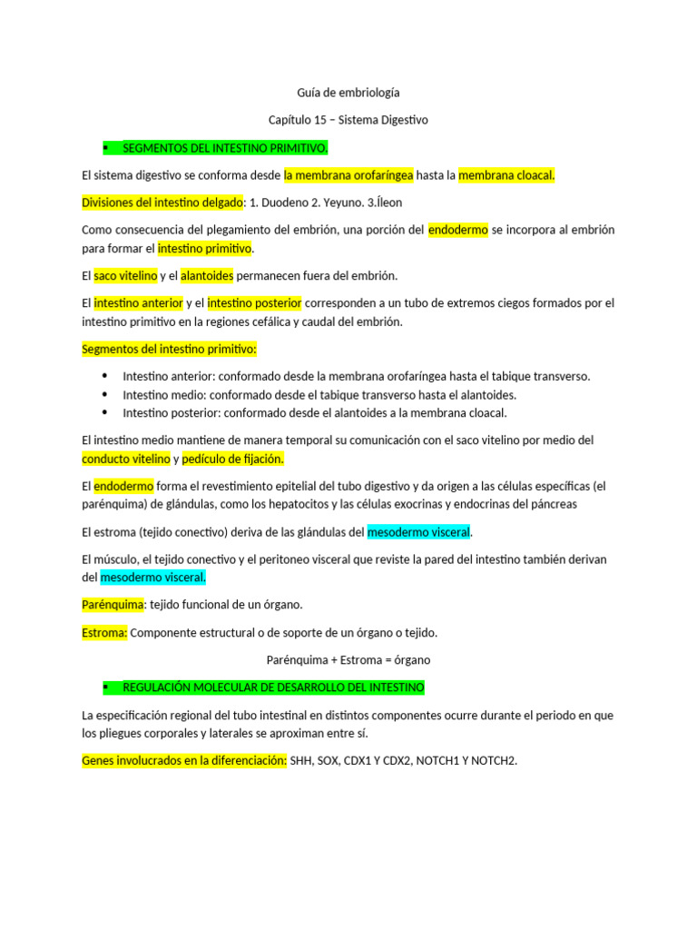 Guía de embriología SD | PDF