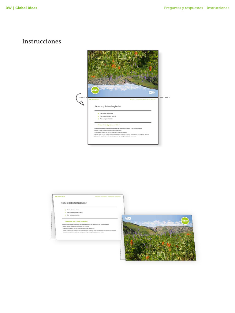 DW Global Ideas Lernpaket 5 Quizkarten Faltvorlage Es | PDF