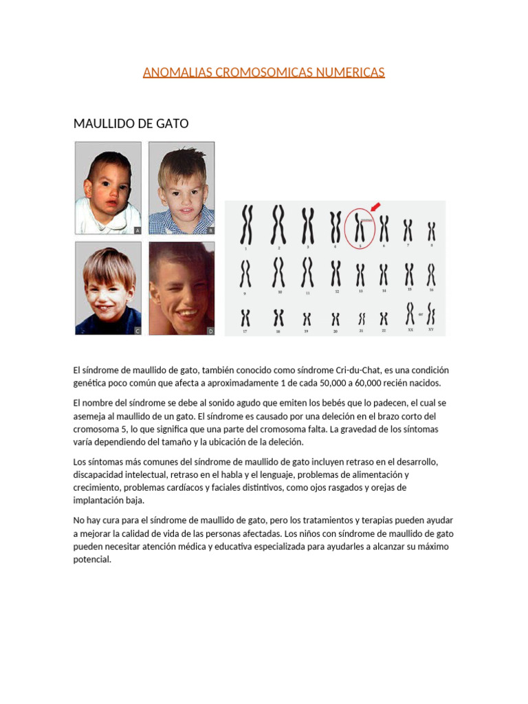 Anomalias Cromosomicas Numericas | PDF