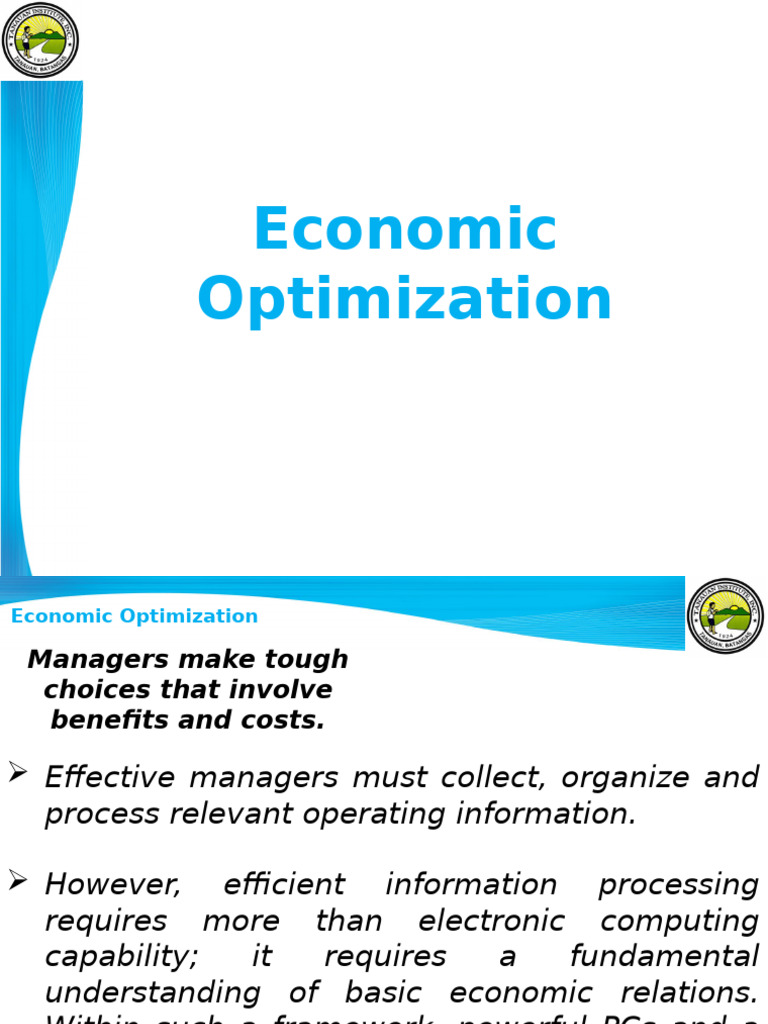 Economic Optimization | PDF
