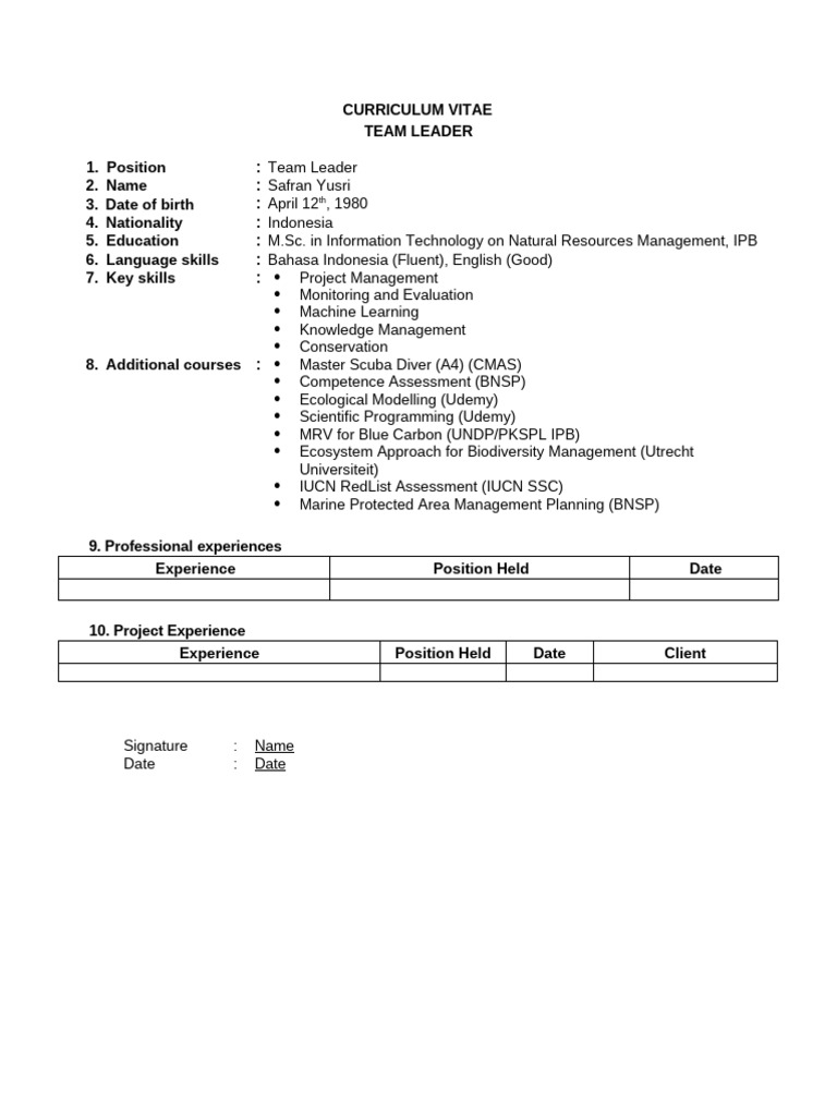 GIZ - Format CV Expert | PDF