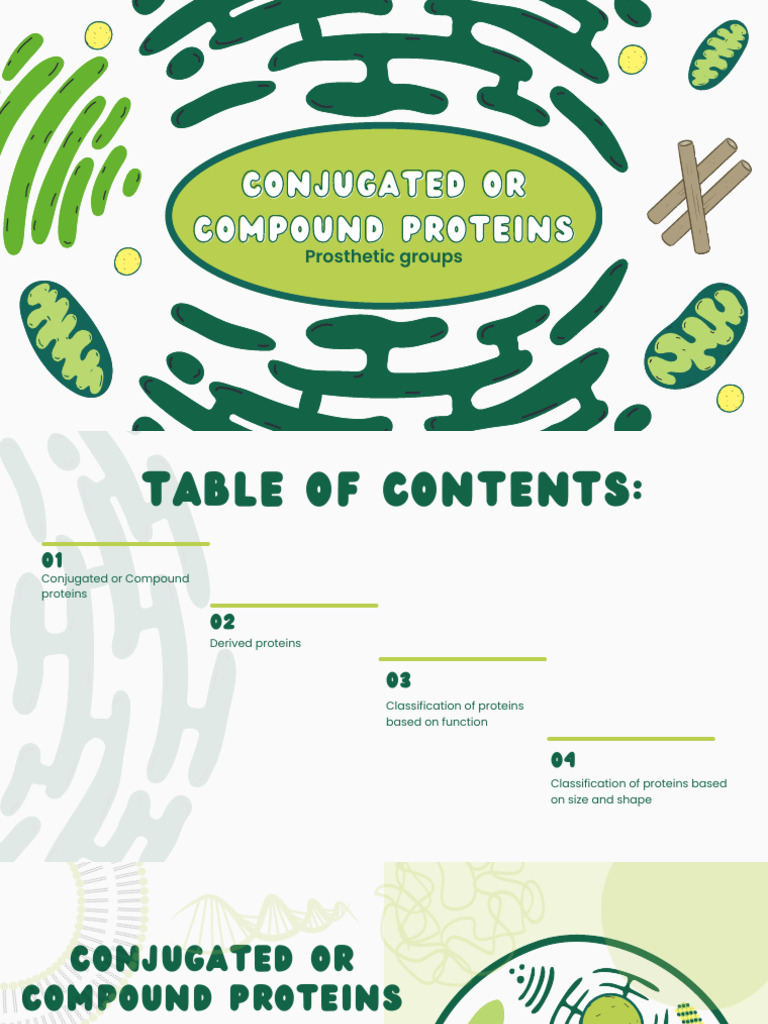 Conjugated or Compound Proteins | PDF