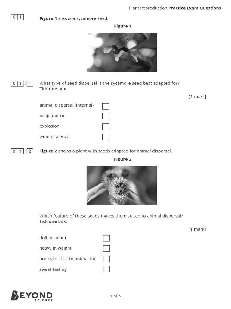 Plant Reproduction Practice Exam Questions Foundation | PDF