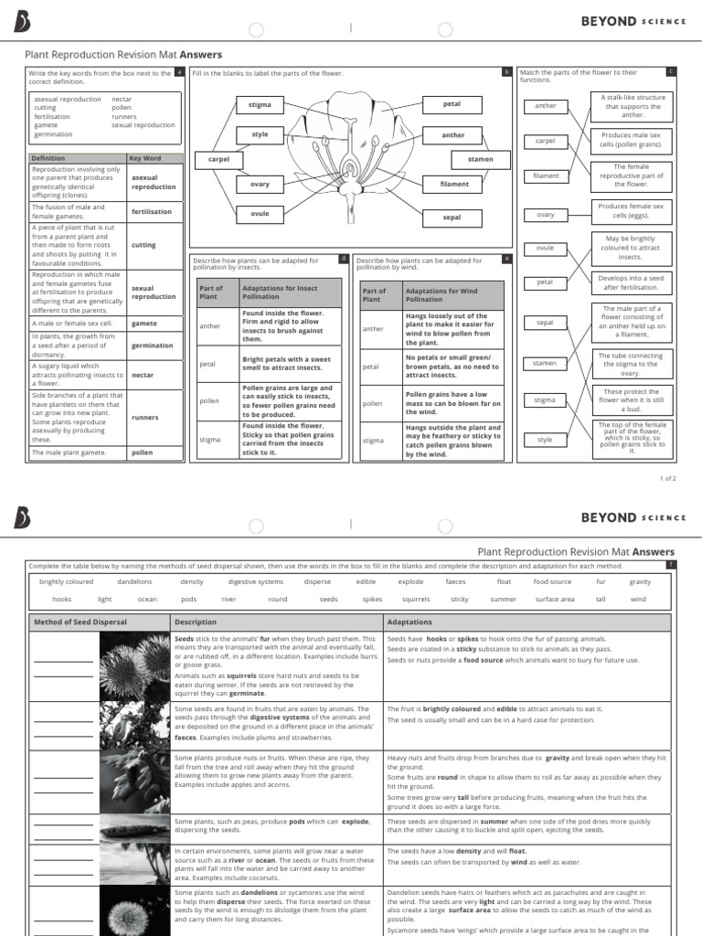 Plant Reproduction Revision Mat Foundation Answers | PDF