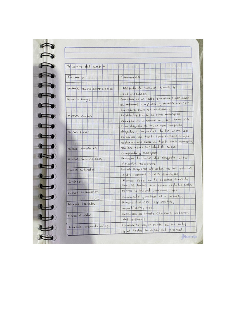 Ari Martín Dzul Tzec | PDF