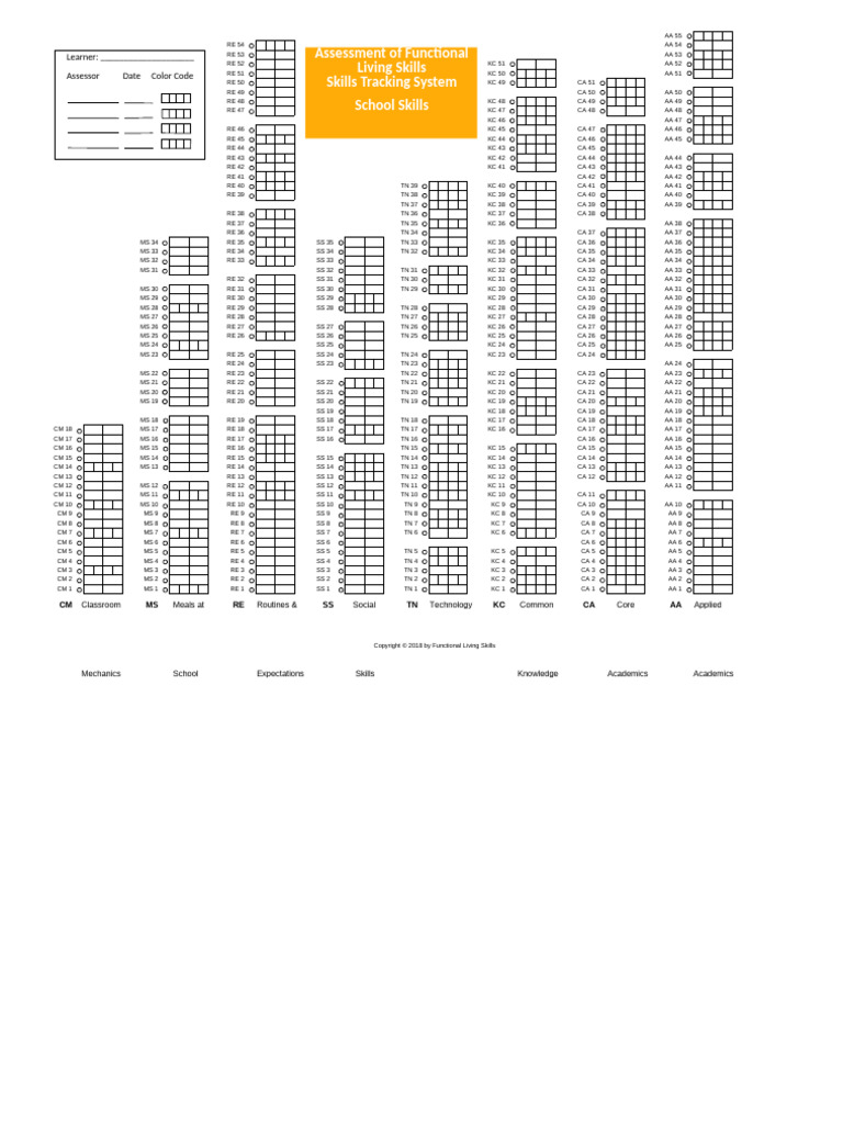 DRB 490 Afls Grid School Skills | PDF