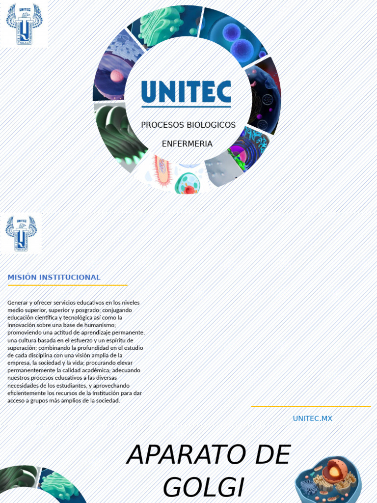 Aparato de Golgi Terminado | PDF