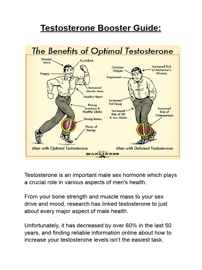 Testosterone Booster Guide- | PDF